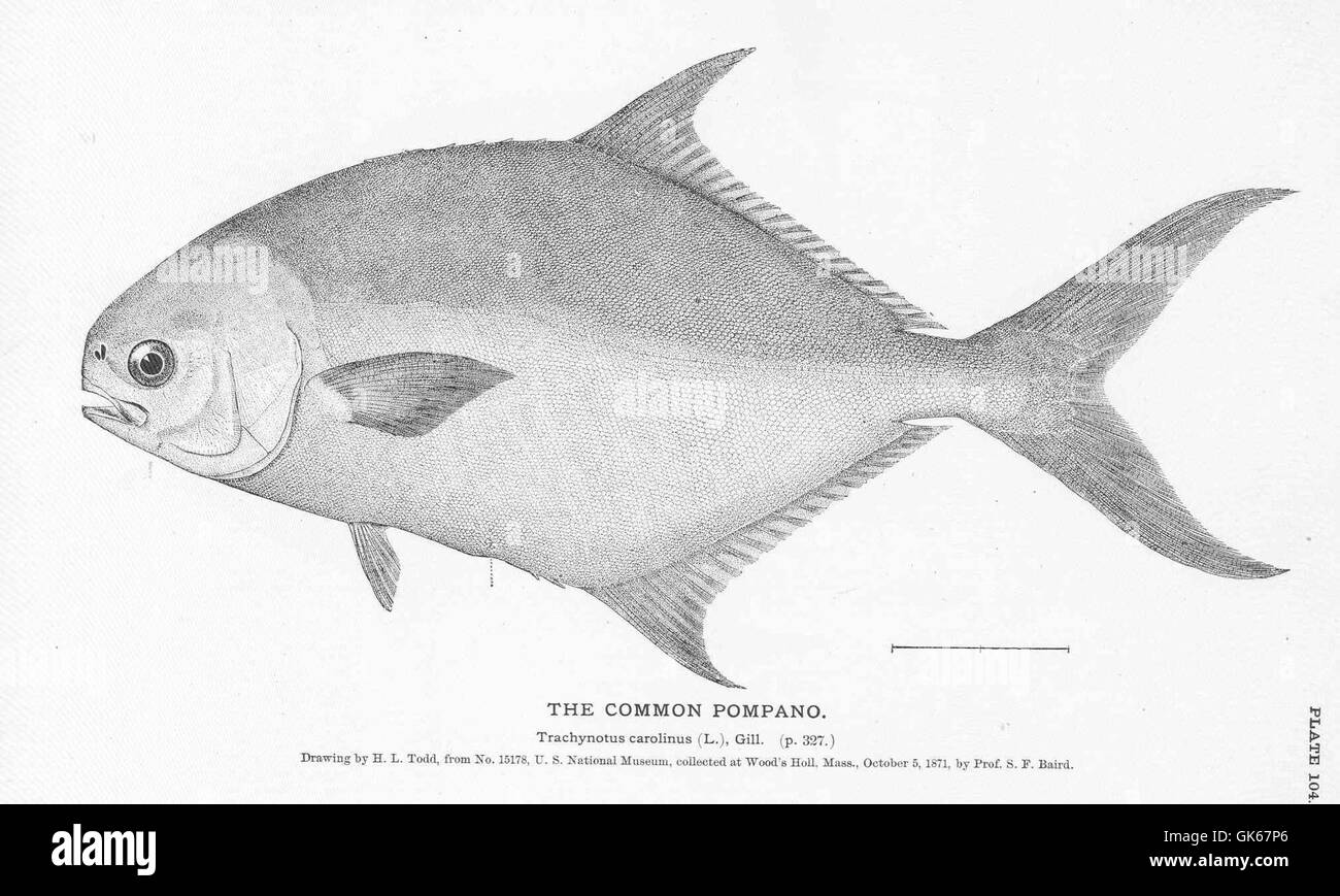 Common calligraphic hi-res stock photography and images - Alamy