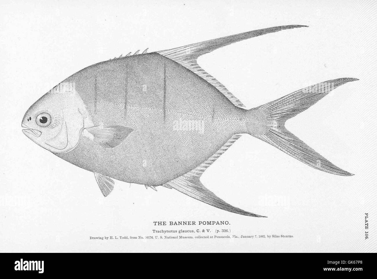 Coastal banner hi-res stock photography and images - Alamy