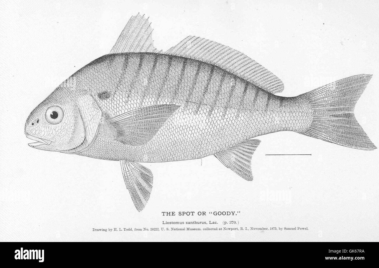 Biodiversity spot Black and White Stock Photos & Images - Alamy