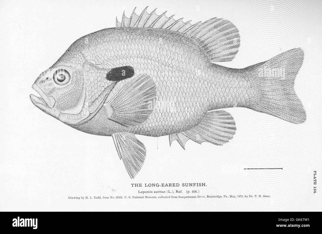 Old Map Of Long Black and White Stock Photos & Images - Alamy