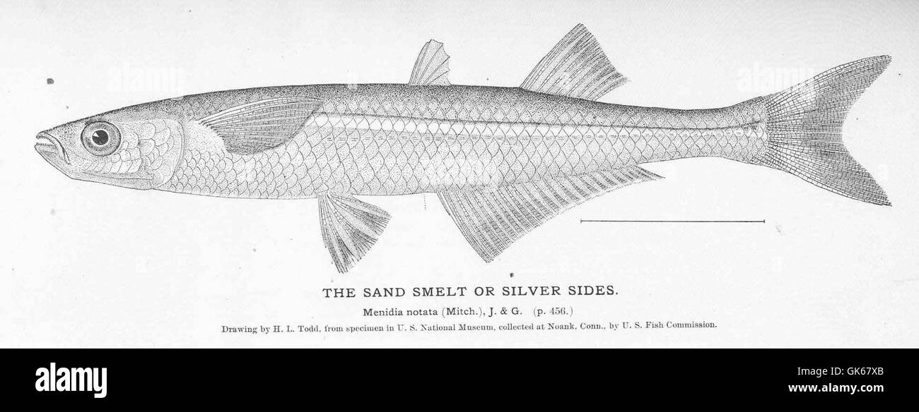 51052 hi-res stock photography and images - Alamy