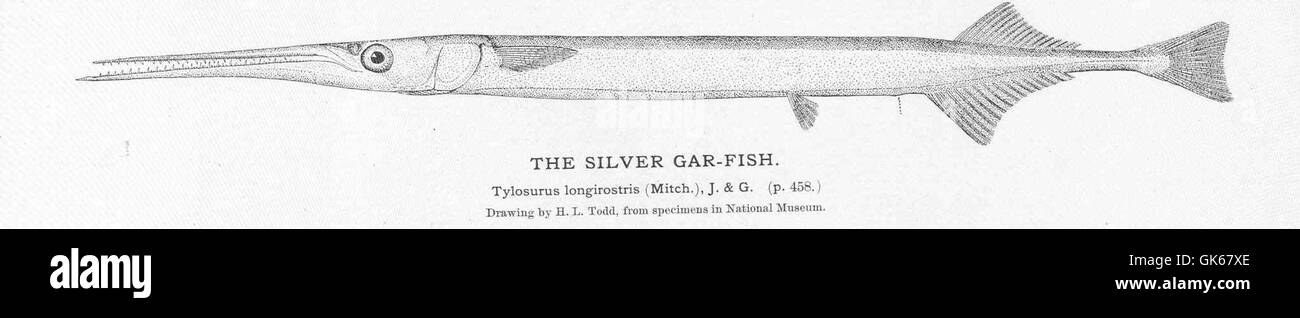 Silver draw Black and White Stock Photos & Images - Alamy