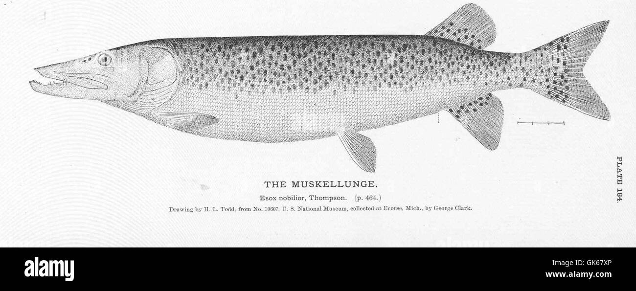 51062 hi-res stock photography and images - Alamy