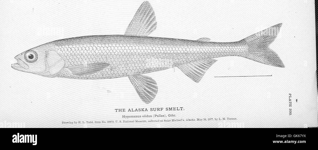 Vintage map of alaska Black and White Stock Photos & Images - Alamy