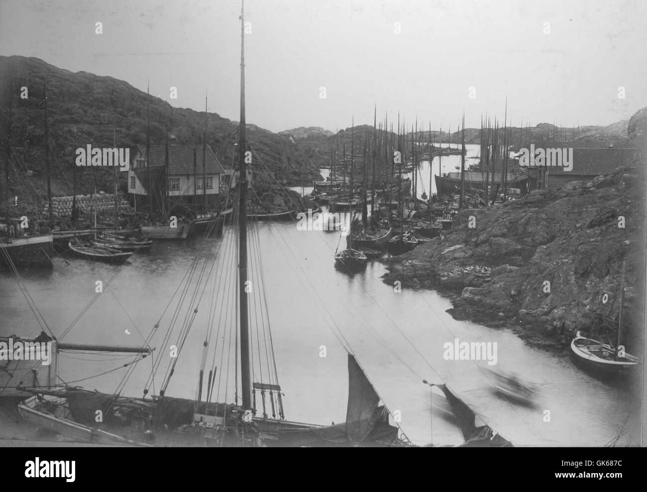 Rovaer is a lesser-known species, possibly related to aquatic organisms ...