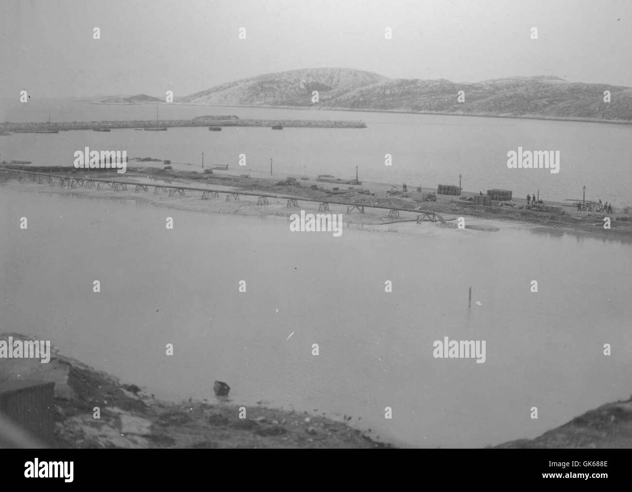 Single species of genus Black and White Stock Photos & Images - Alamy