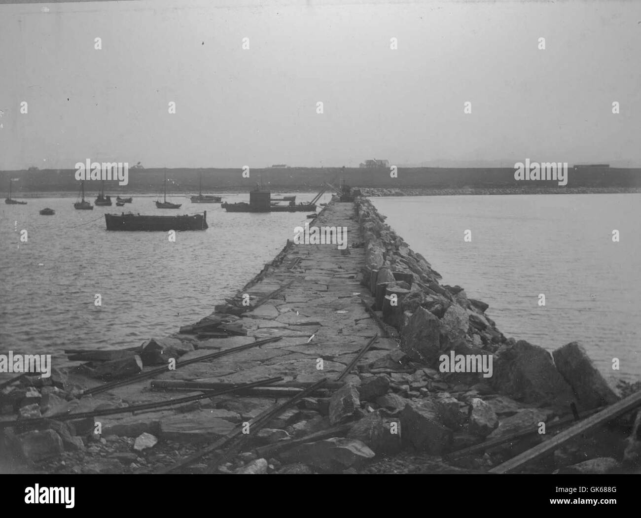 Group of aquatic organisms hi-res stock photography and images - Alamy