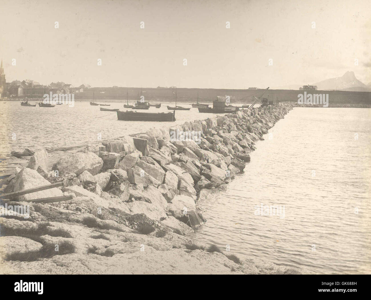 Flagellate protozoa hi-res stock photography and images - Alamy