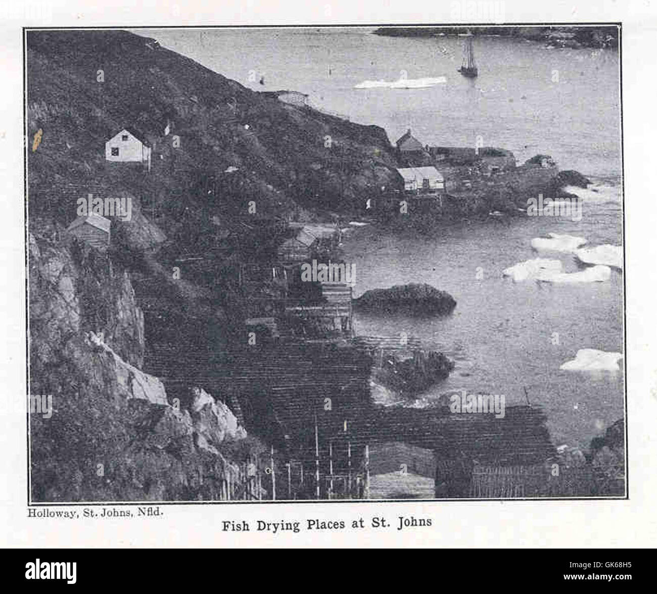 Newfoundland cod drying hi-res stock photography and images - Alamy