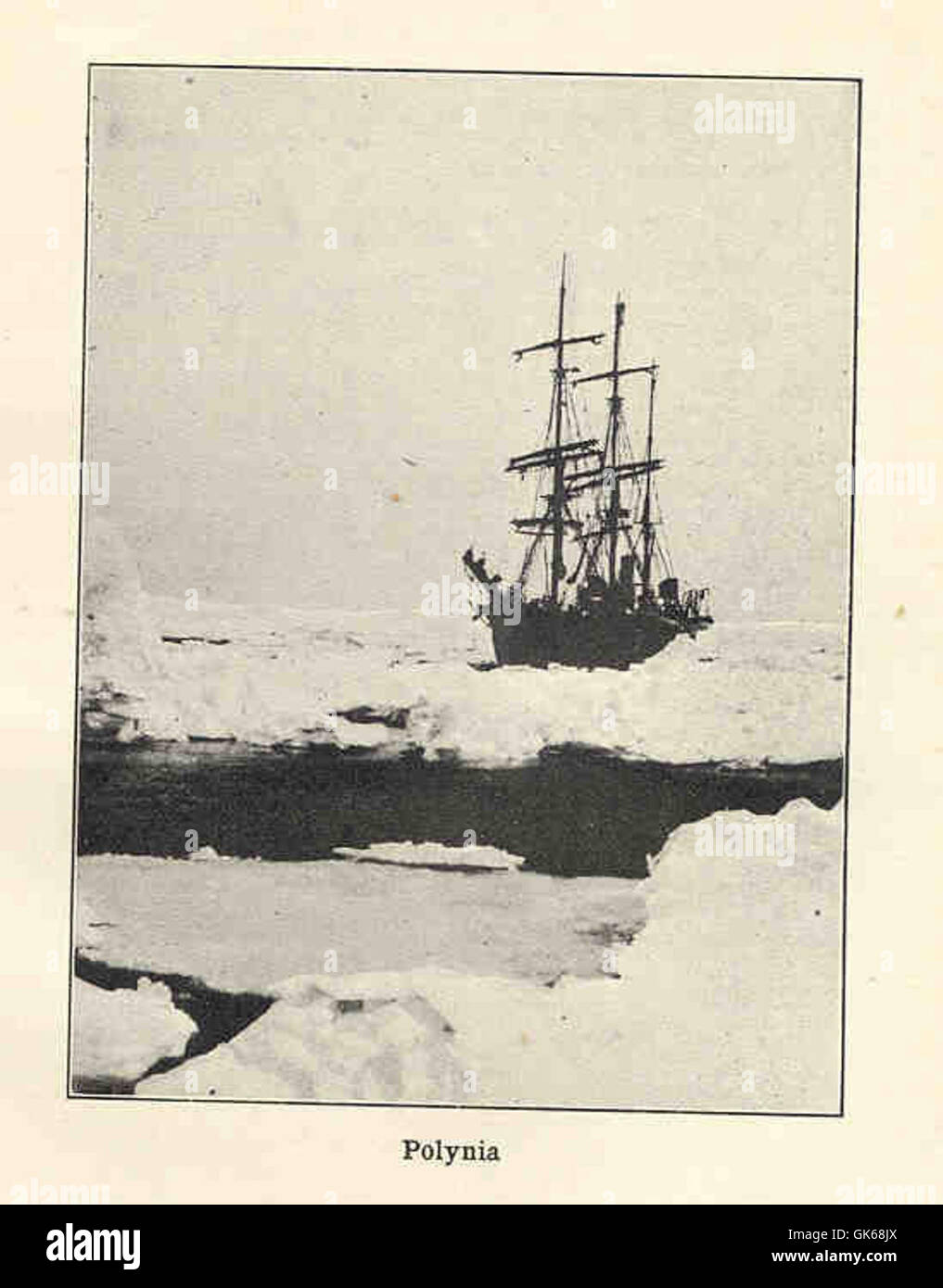 Polynia hi-res stock photography and images - Alamy