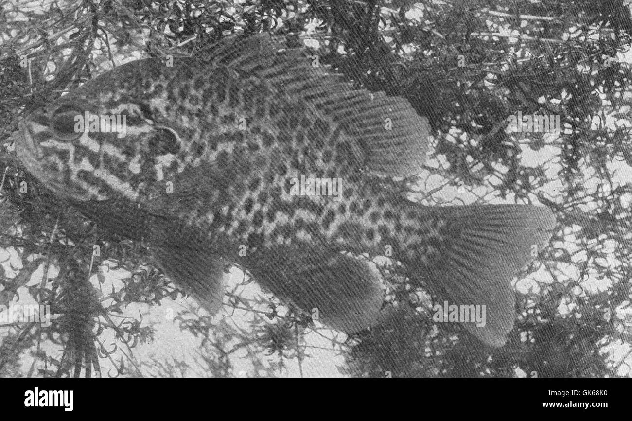 Common lakes and rivers Black and White Stock Photos & Images - Alamy