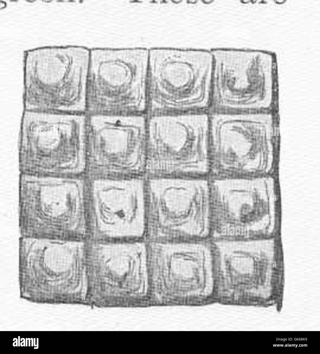 Bronni hi-res stock photography and images - Alamy