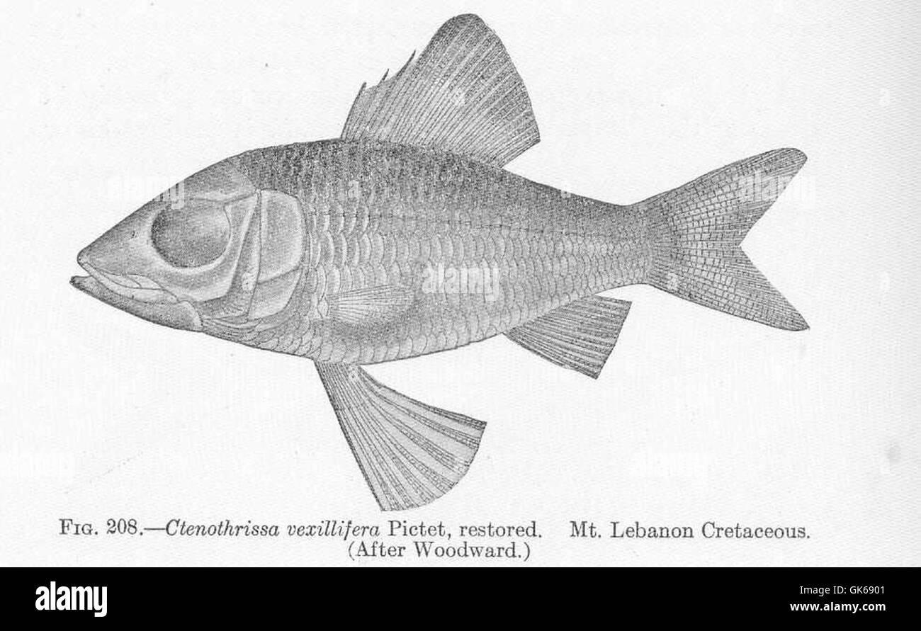 Restored antique map Black and White Stock Photos & Images - Alamy