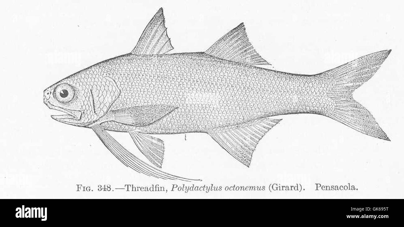 Vintage pensacola map hi-res stock photography and images - Alamy