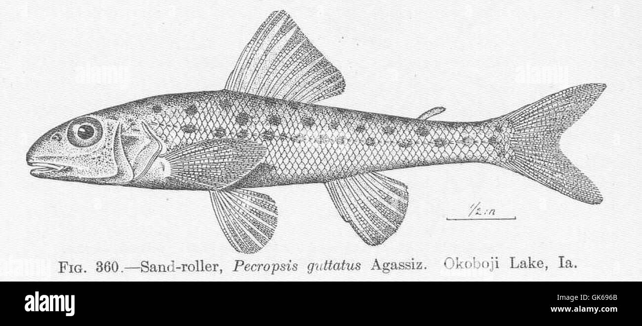 Okoboji lake hi-res stock photography and images - Alamy