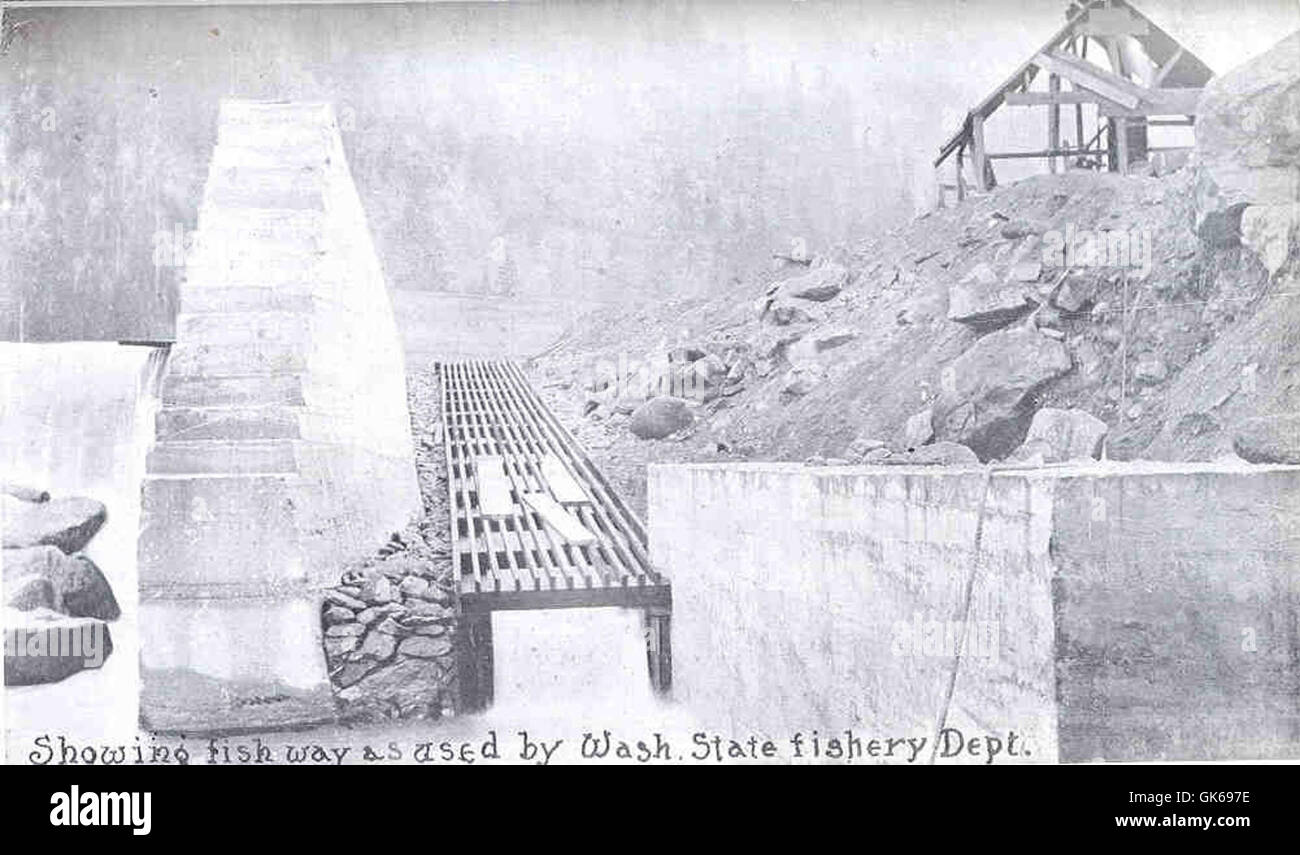 Calligraphic drawing showing hi-res stock photography and images - Alamy