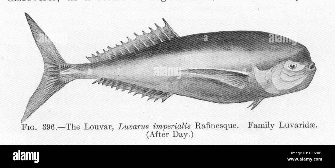 Rafinesque book hi-res stock photography and images - Alamy