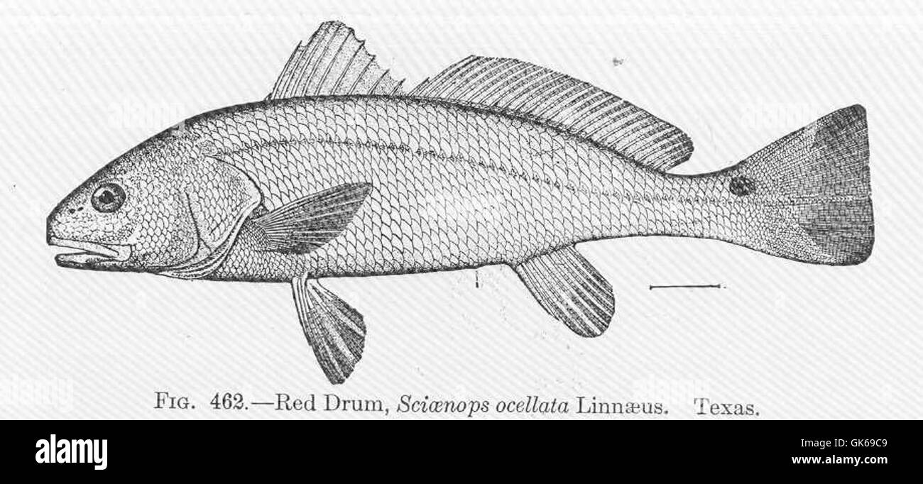 Channel morphology Black and White Stock Photos & Images - Alamy