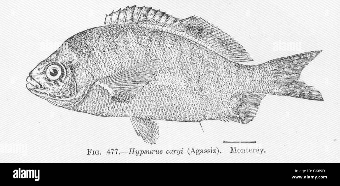 Caryi Black and White Stock Photos & Images - Alamy