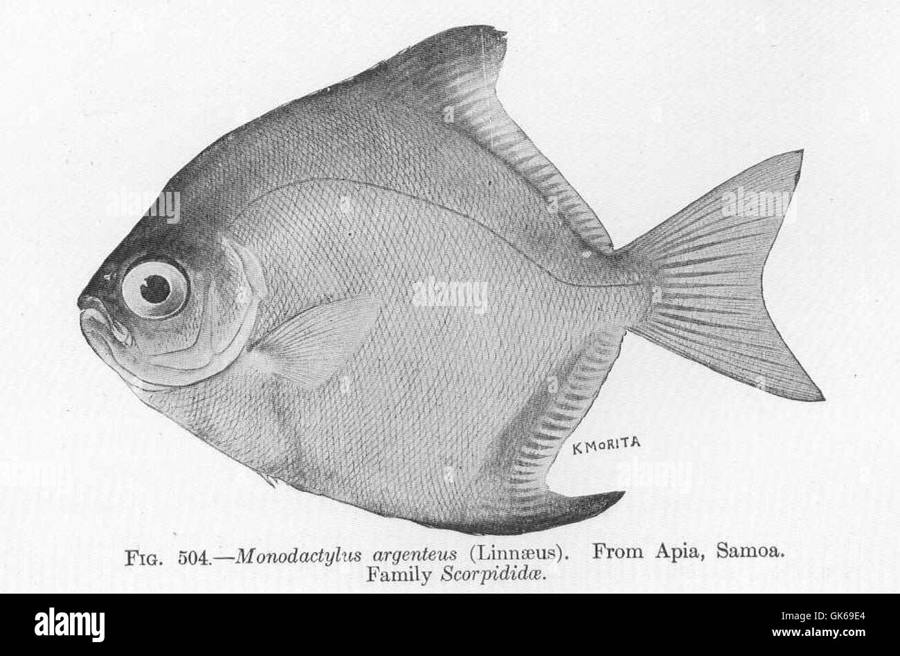 Samoan family samoan family hi-res stock photography and images - Alamy