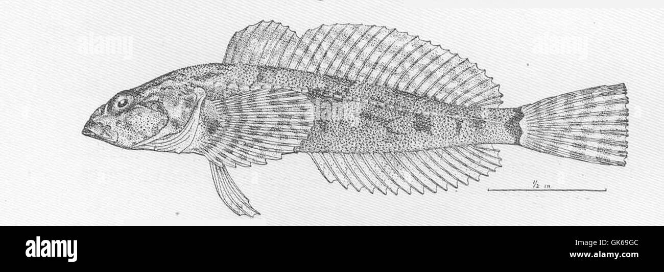 Map of lost river hi-res stock photography and images - Alamy