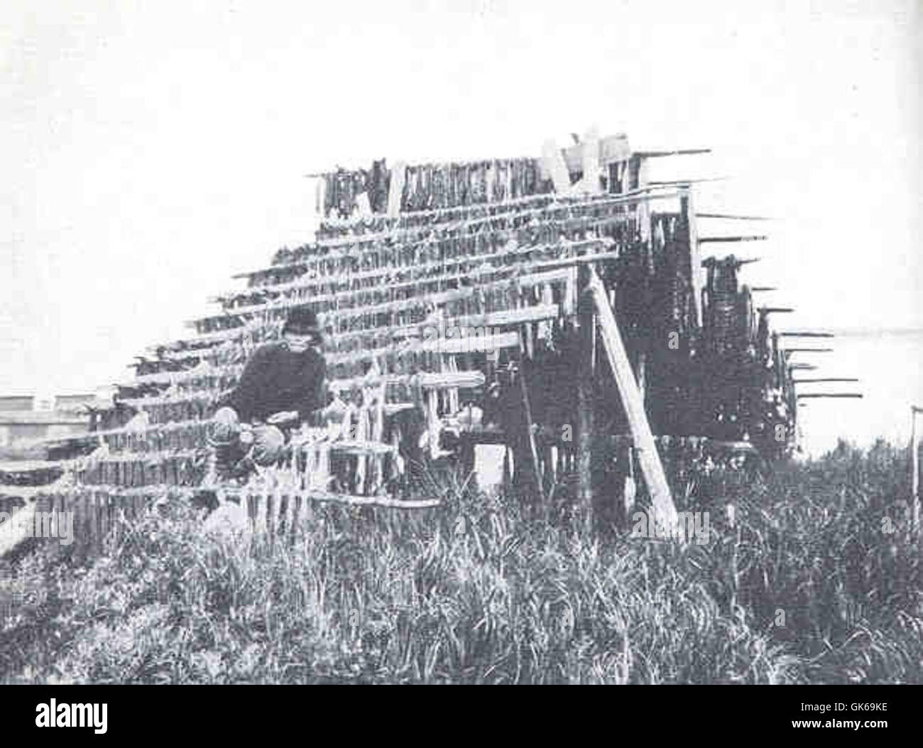 The Indian Salmon drying rack, located along the Bering Sea in Alaska ...