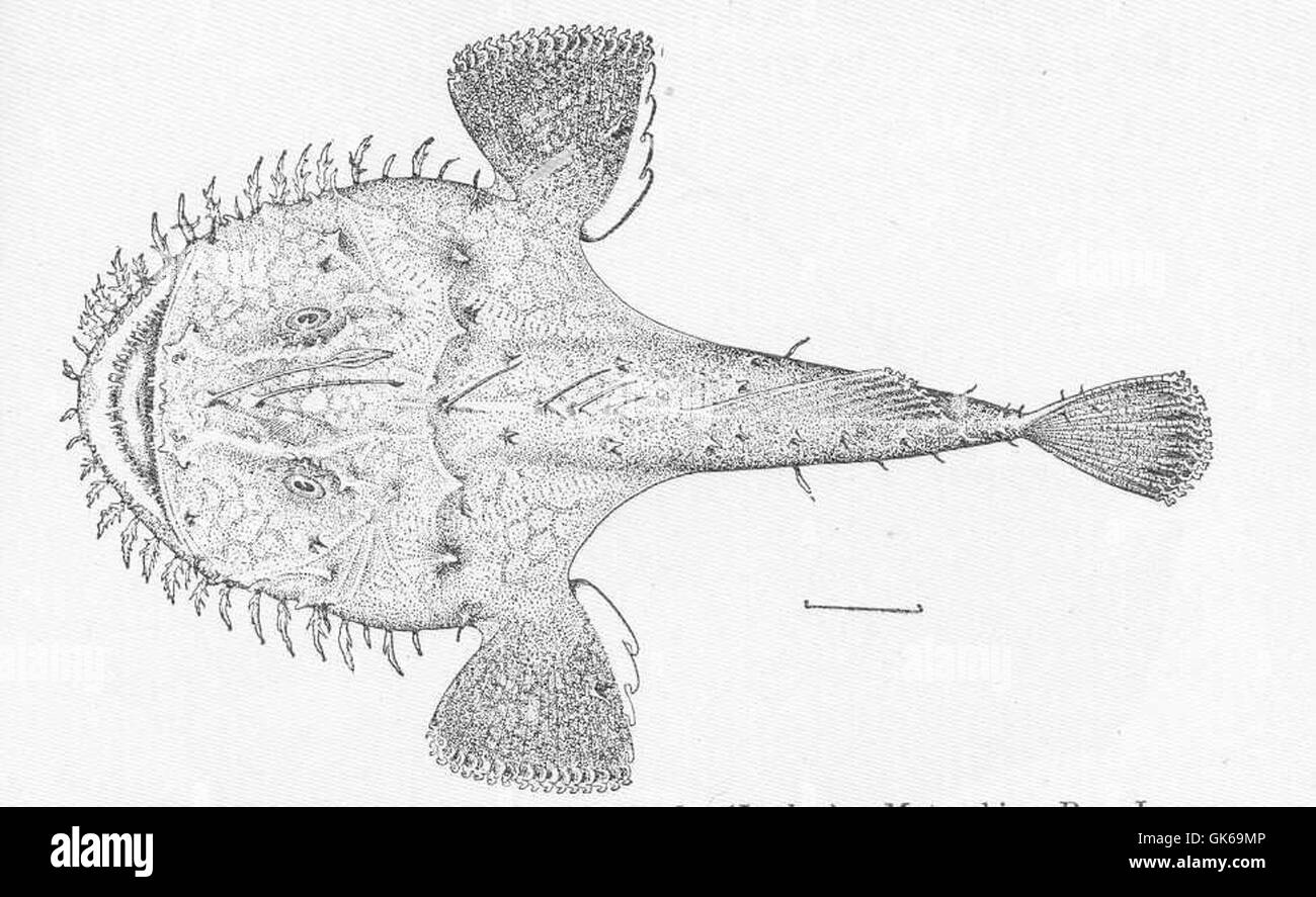 Japan fishing Black and White Stock Photos & Images - Alamy