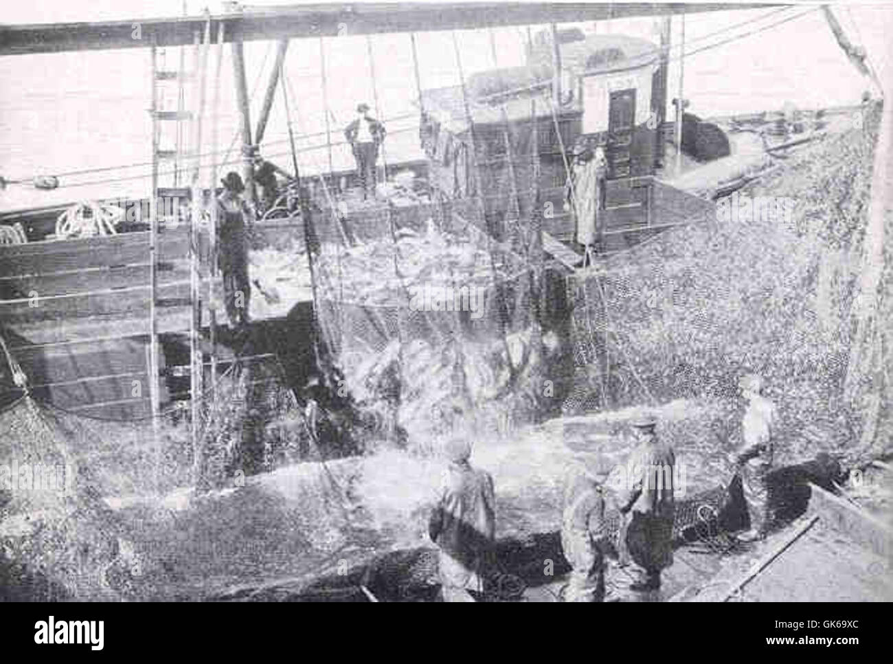 This image shows the process of brailing salmon from a trap net, a ...