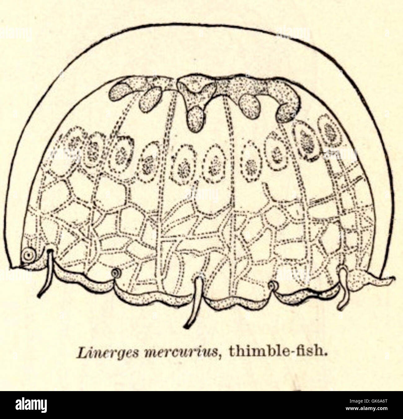 52557 hi-res stock photography and images - Alamy