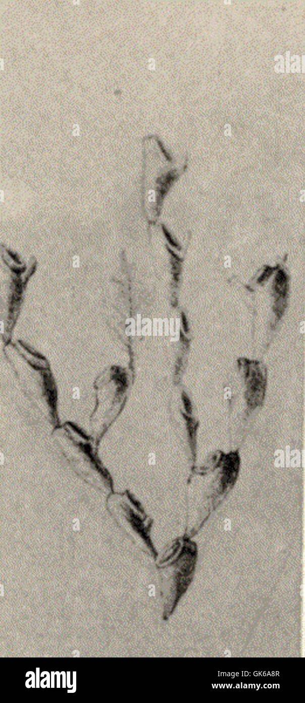 52603 hi-res stock photography and images - Alamy