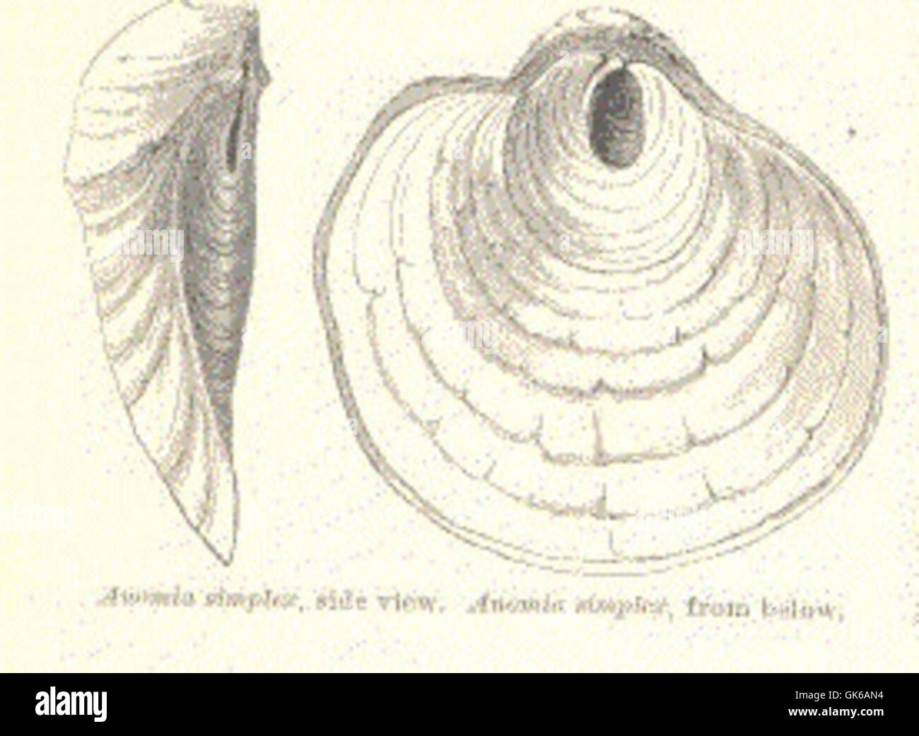 Irregularly shaped areas hi-res stock photography and images - Alamy