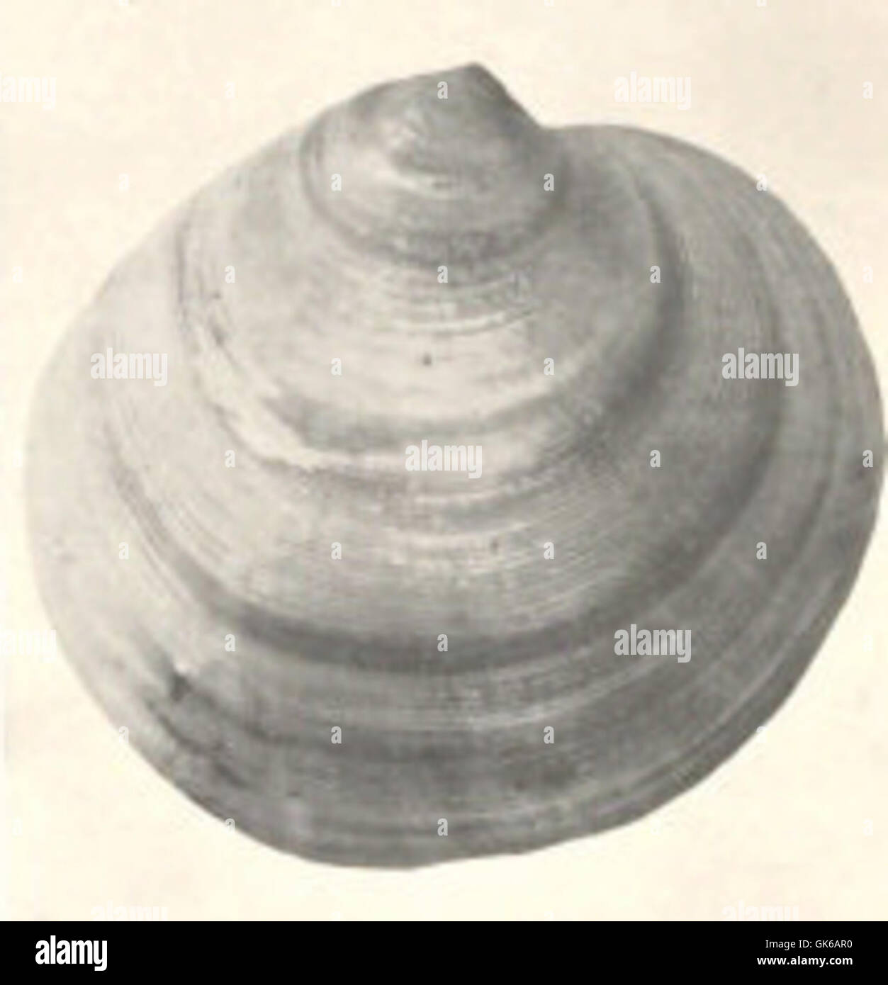 52933 High Resolution Stock Photography and Images - Alamy