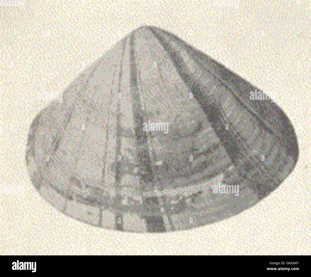 Tivela hi-res stock photography and images - Alamy