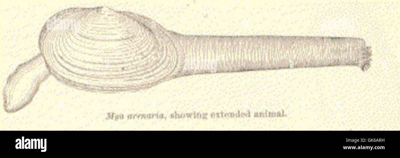 52949 hi-res stock photography and images - Alamy