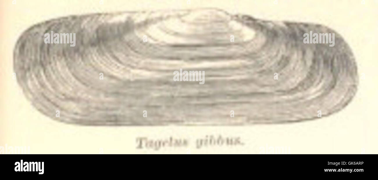 52953 hi-res stock photography and images - Alamy