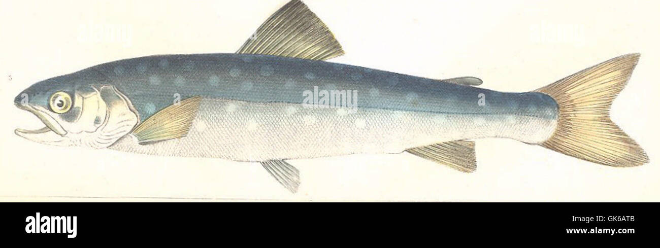 Salmo map hi-res stock photography and images - Alamy