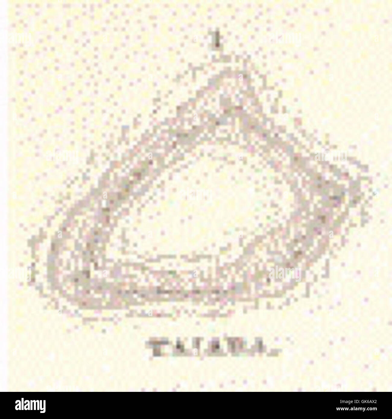 The manuscript '53007 Taiara' is a rare vintage book featuring detailed ...