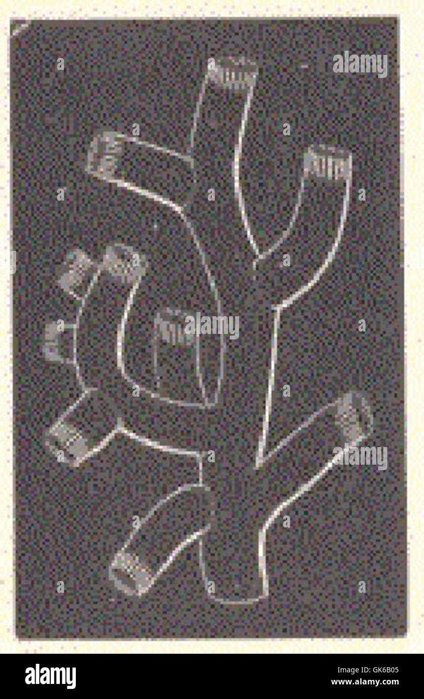 This illustration from an ancient manuscript features the Cladocora ...