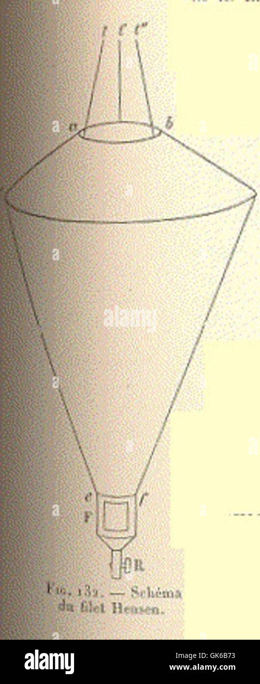 The 'Schema du filet Hansen' is a diagram illustrating the structure ...