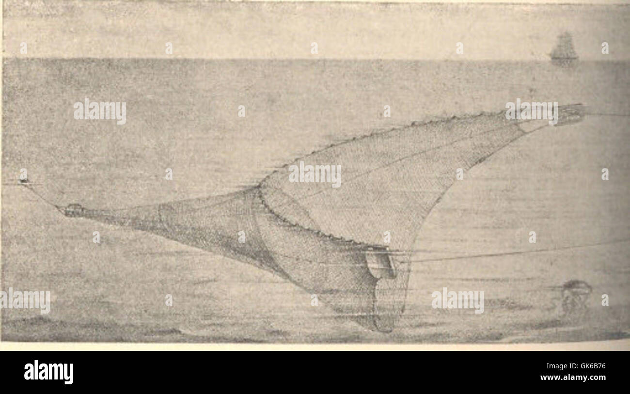 The 'Chalut de Surface du Prince de Monaco' is a surface trawl net used ...