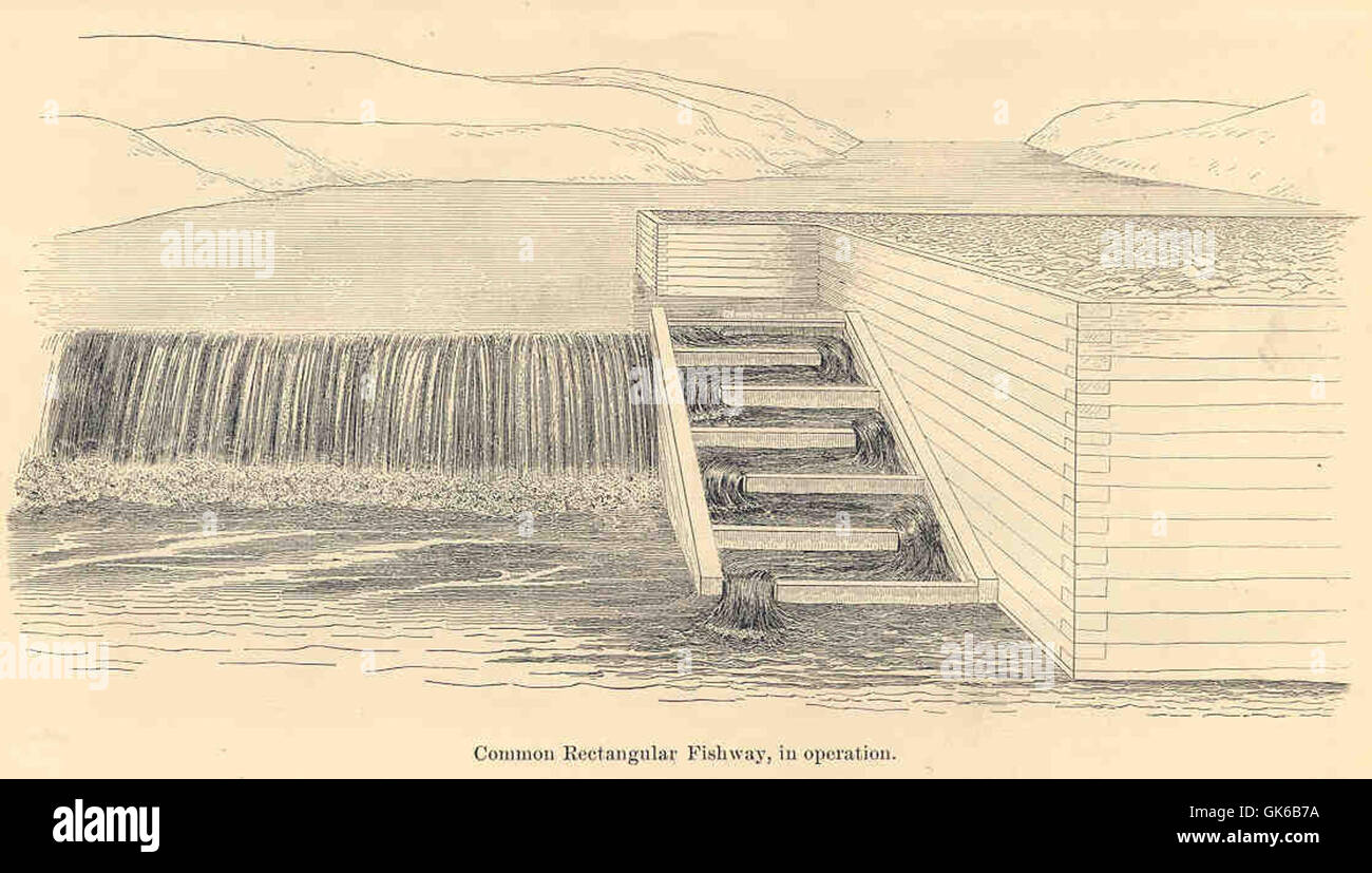 A common rectangular fishway in operation, designed to allow fish to ...