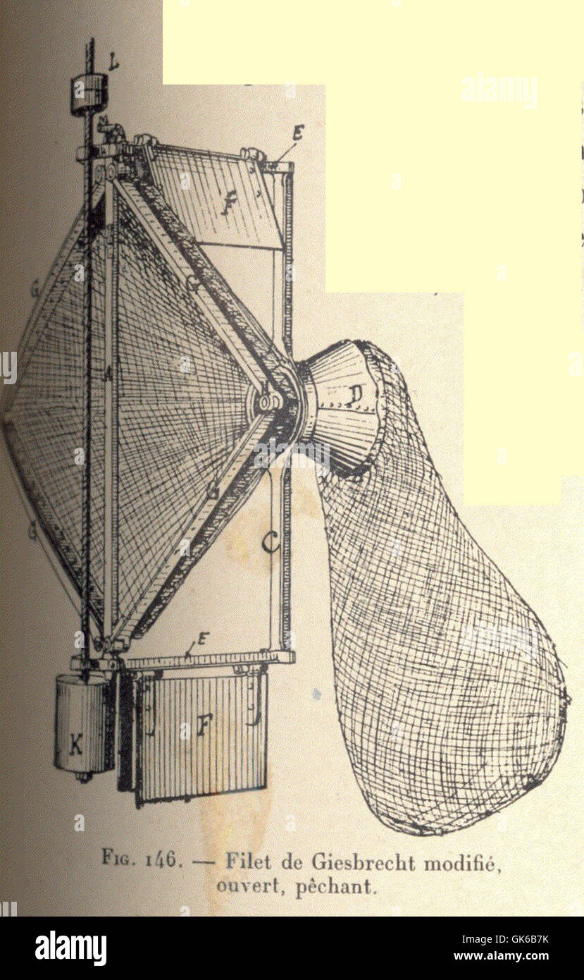 Giesbrecht hi-res stock photography and images - Alamy