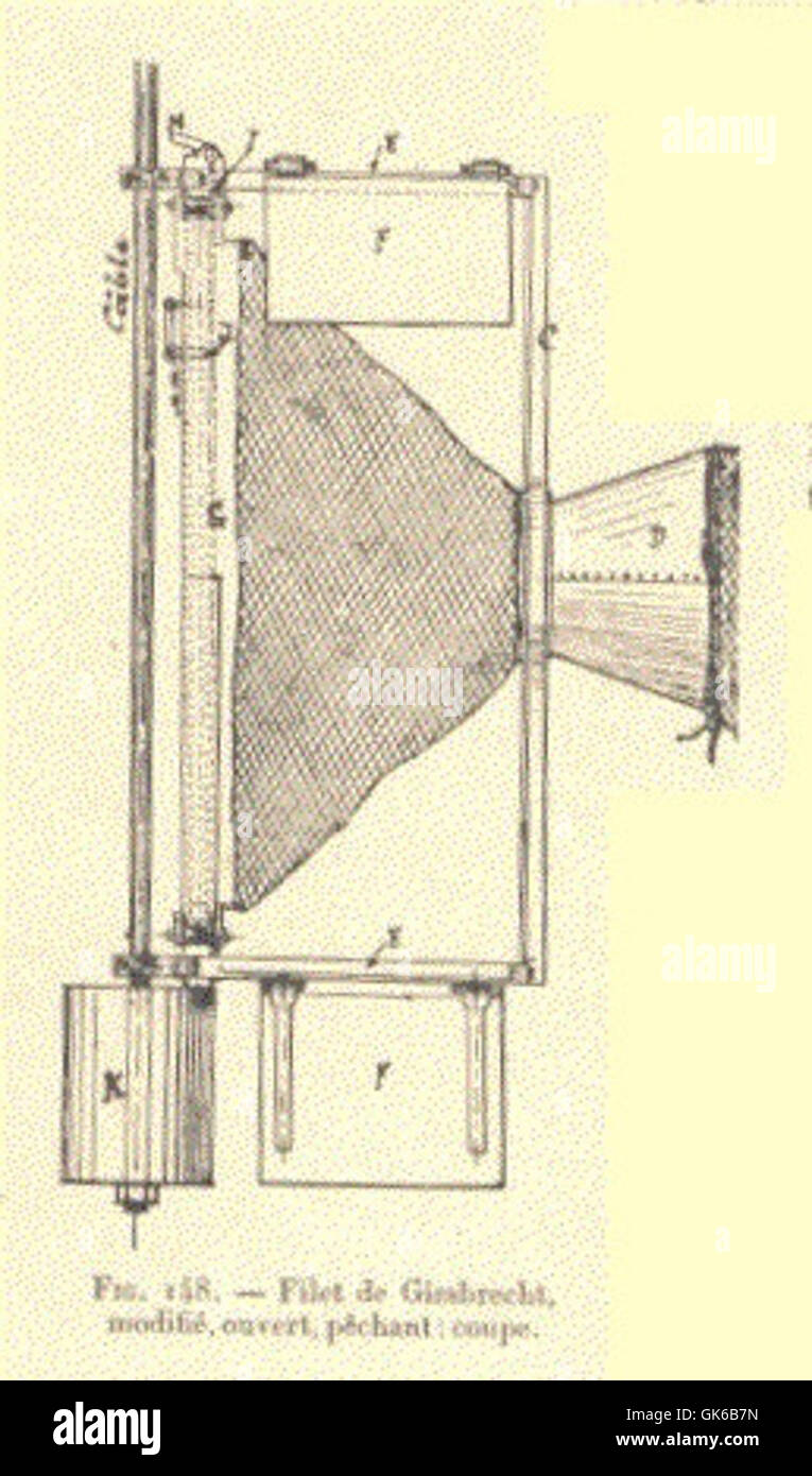 Giesbrecht hi-res stock photography and images - Alamy