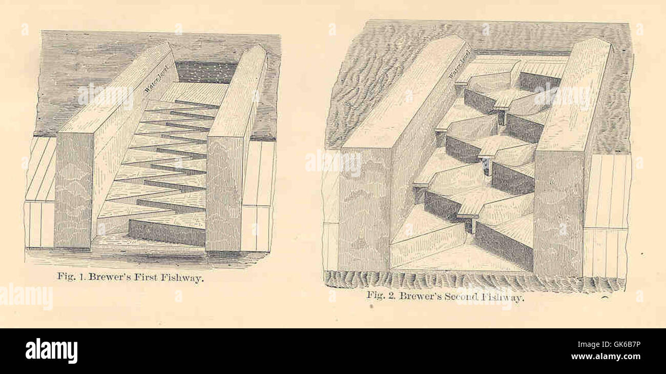 Brewer's First and Second Fishways are engineering structures designed ...