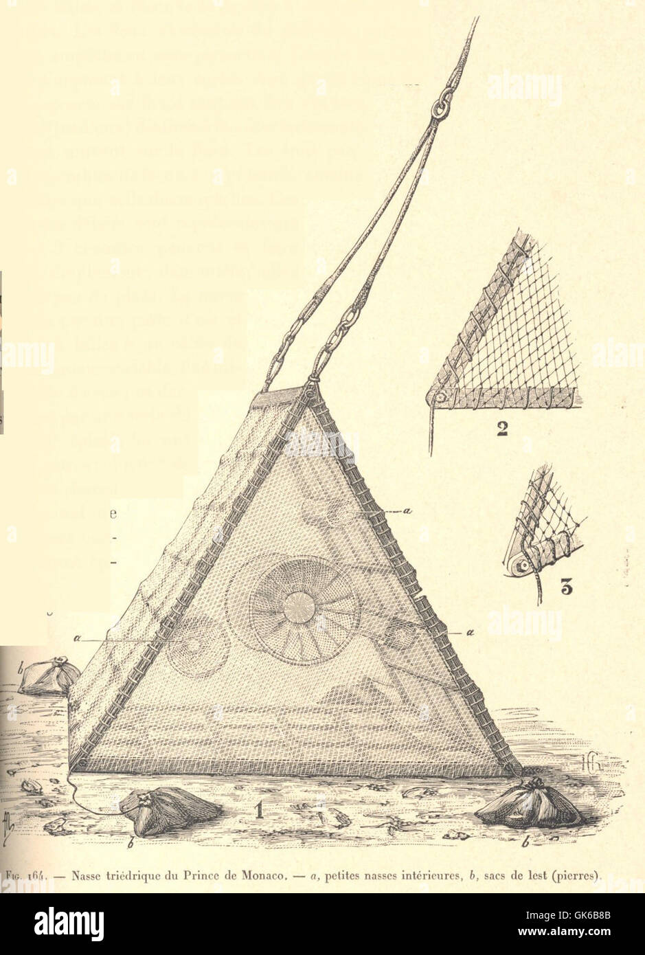 The *Nasse triedrique* of the Prince of Monaco consists of small ...