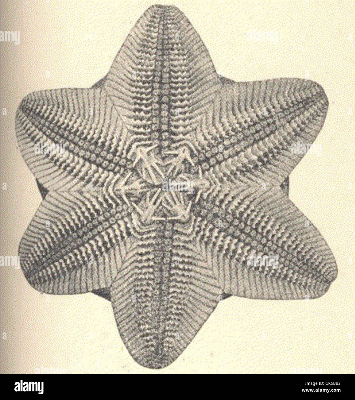 Obscurus books hi-res stock photography and images - Alamy