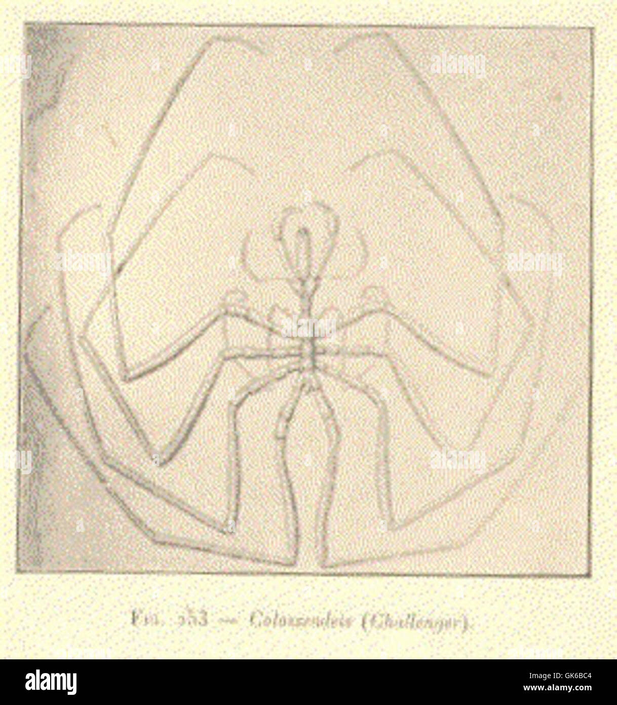 Challenger drawing hi-res stock photography and images - Alamy