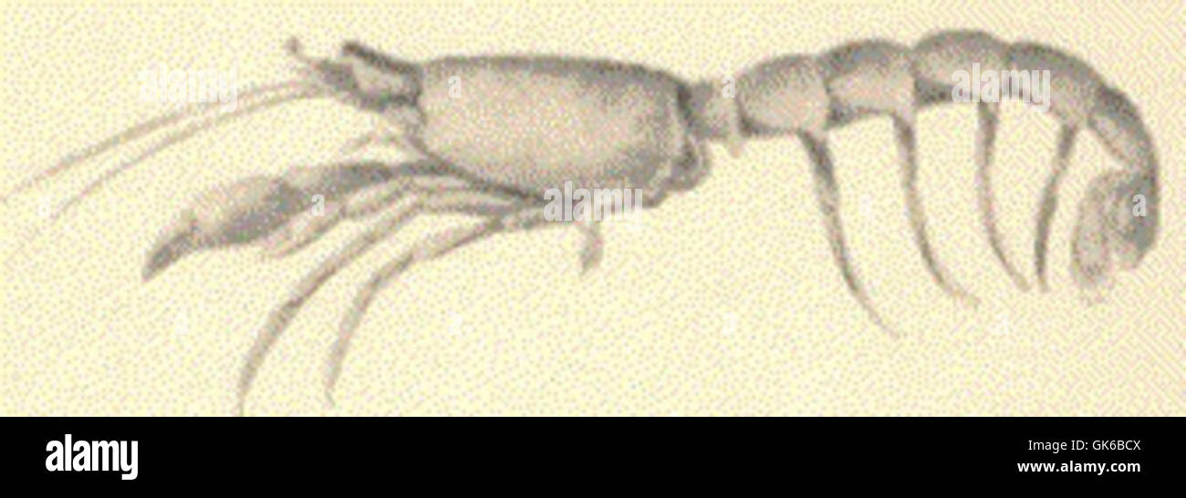 Peroni vintage High Resolution Stock Photography and Images - Alamy