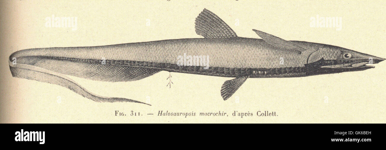 53394 hi-res stock photography and images - Alamy