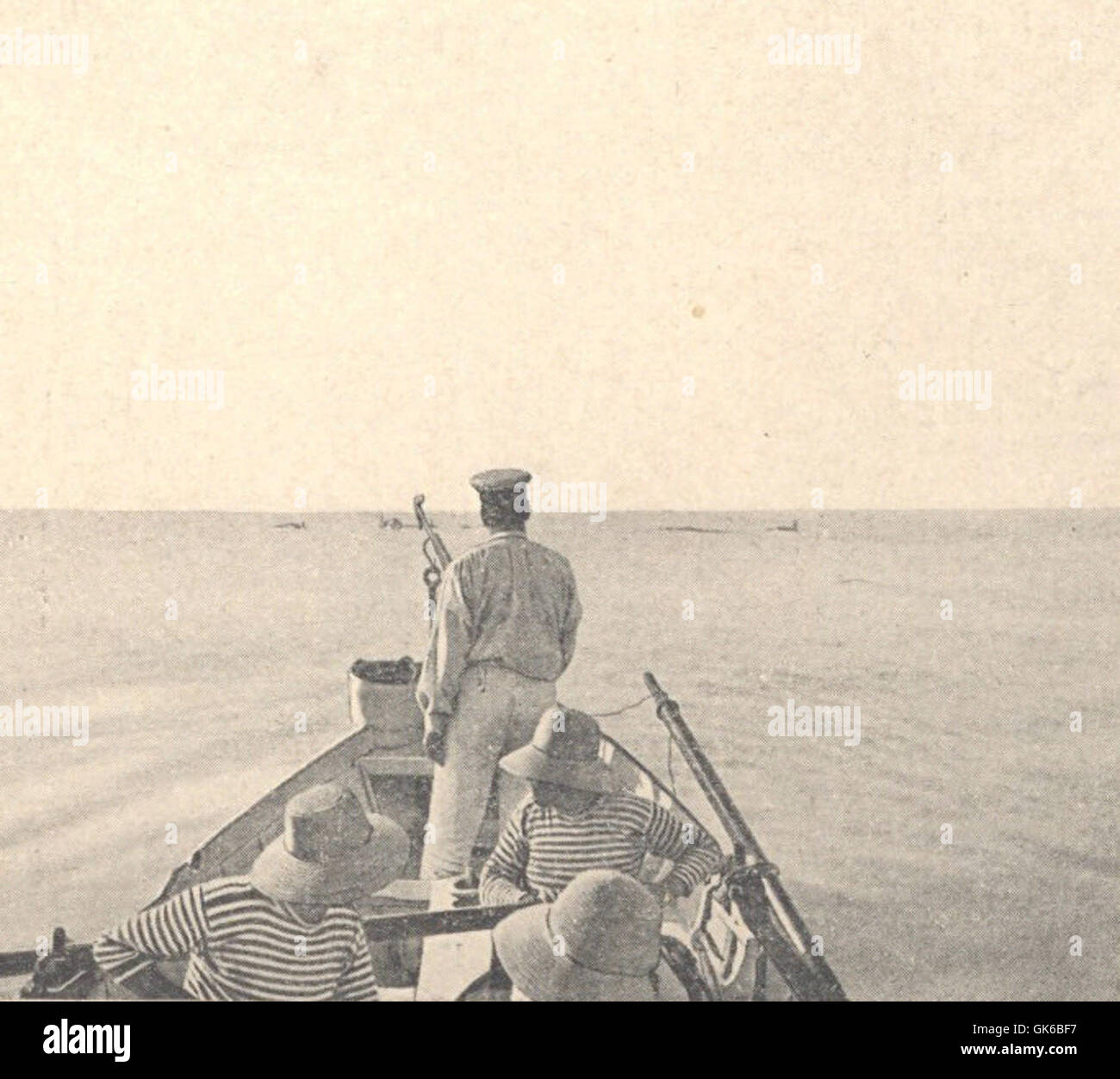 Killer whale hunting techniques hi-res stock photography and images - Alamy